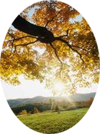 Carl Copeland Obituary - Sparta, Tennessee | Oak Lawn Funeral Home ...